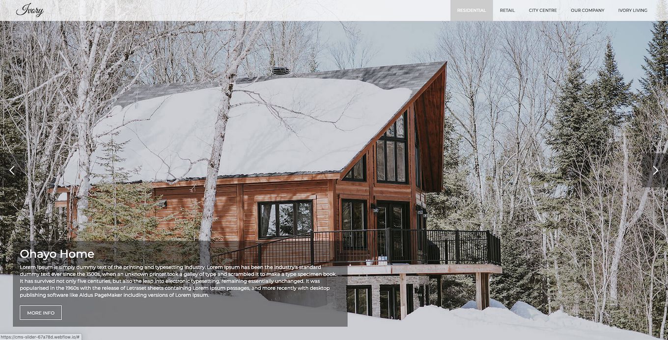 16 Top Webflow Slider Clonables Examples Ranked Tes2t