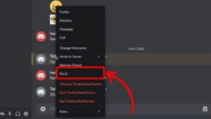 5 Things That Happen When You Block Someone on Discord - Alvaro Trigo's ...