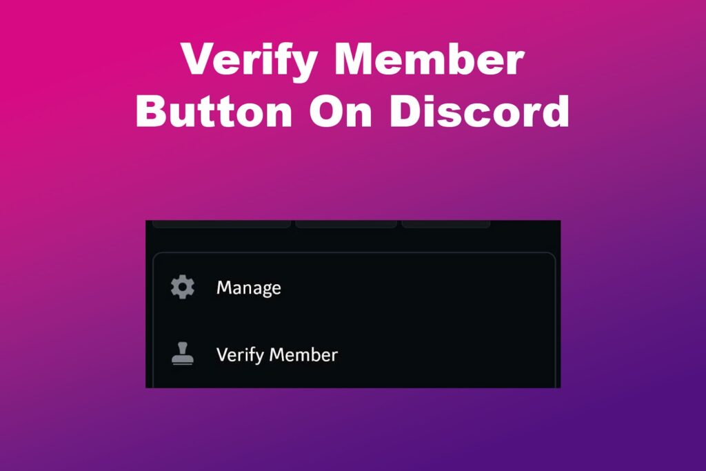 Verify Member Discord [Everything You Need to Know] - Alvaro Trigo's Blog