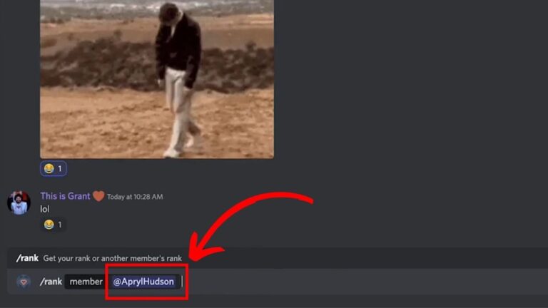 How to Level Up in Discord [The Fastest & Easiest Way] - Alvaro Trigo's ...