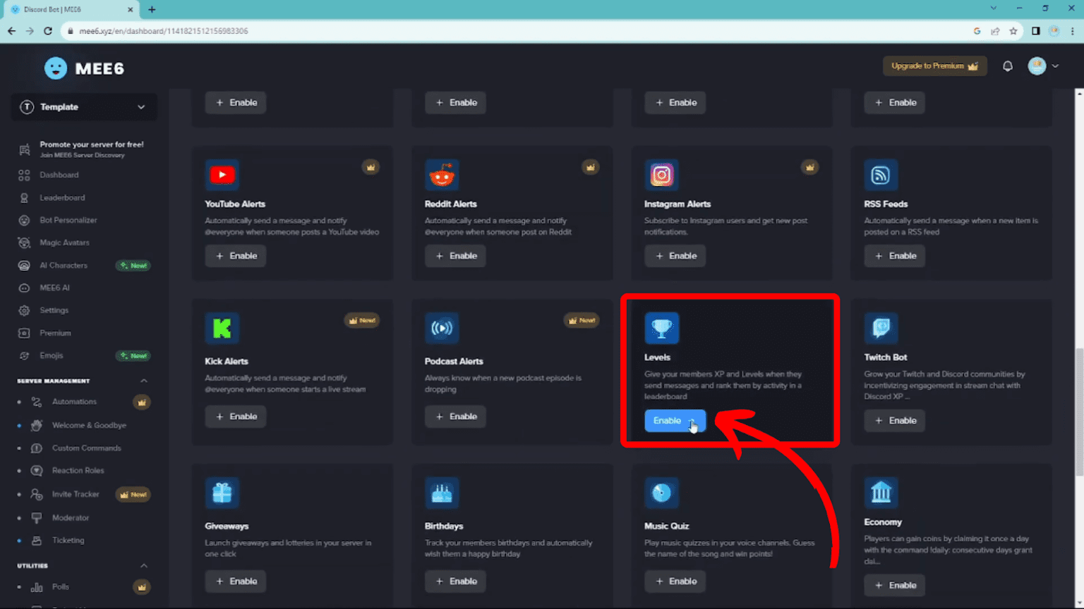 How to Level Up in Discord [The Fastest & Easiest Way] - Alvaro Trigo's ...