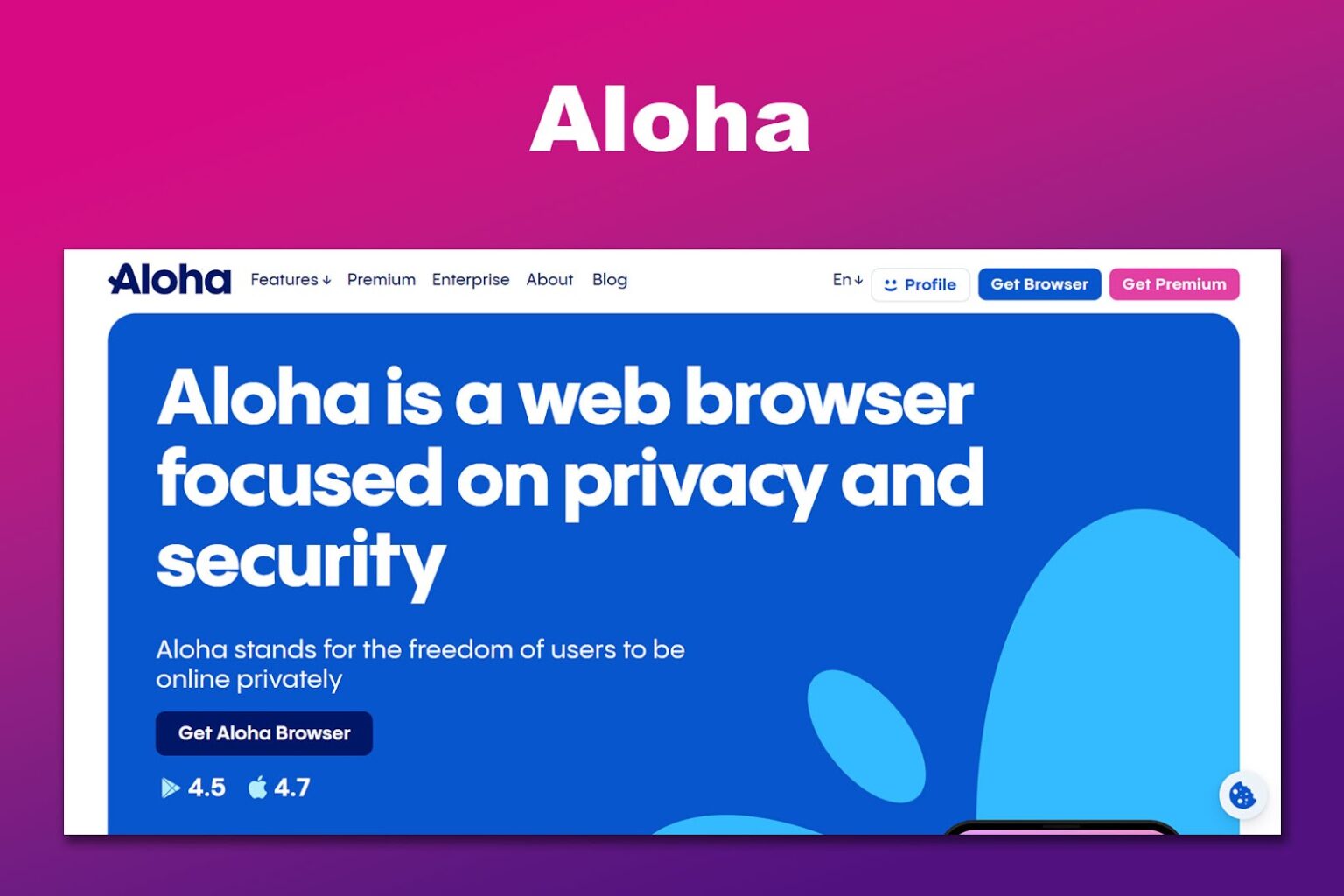 13 Unblocked Web Browsers [Access Blocked Sites!] - Alvaro Trigo's Blog